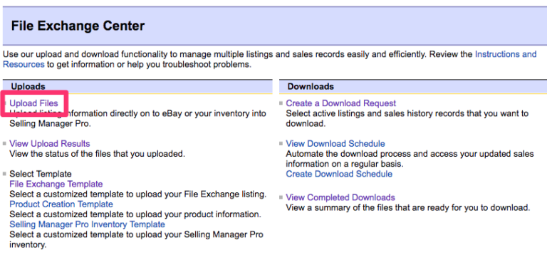 ebayに大量出品！ File exchange の使い方 CSV一括出品する方法 | Eプロ